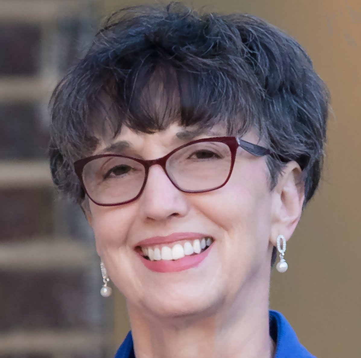 Book Spotlight: The Happy Activist: Journey the 5-Step Activism Path to ...